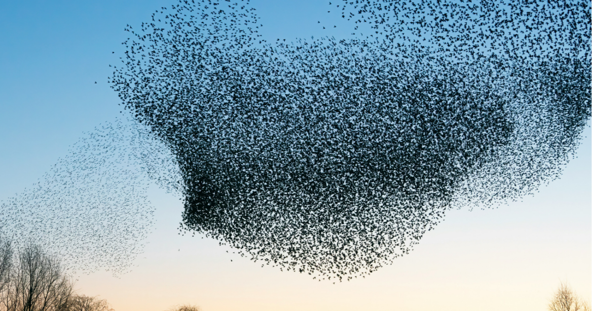 Sustainability training courses – Bioregional