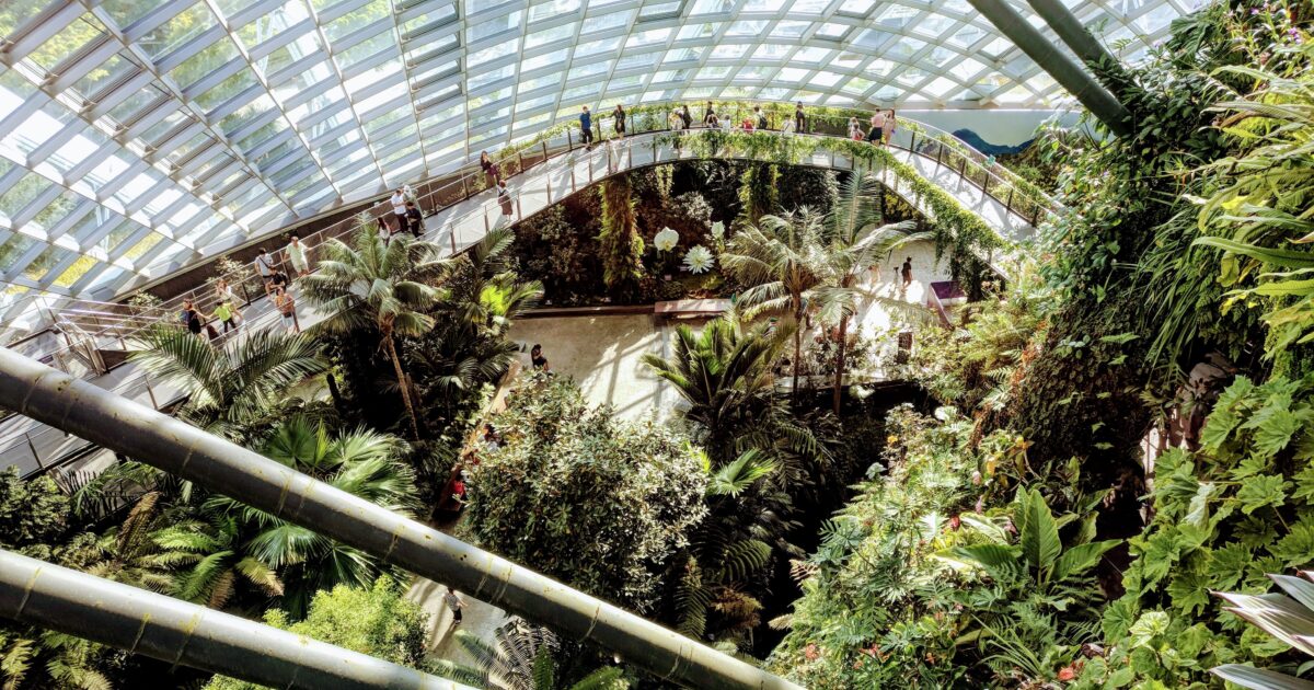 Creating UNEP Eco-innovation Building Materials Supplement – Bioregional