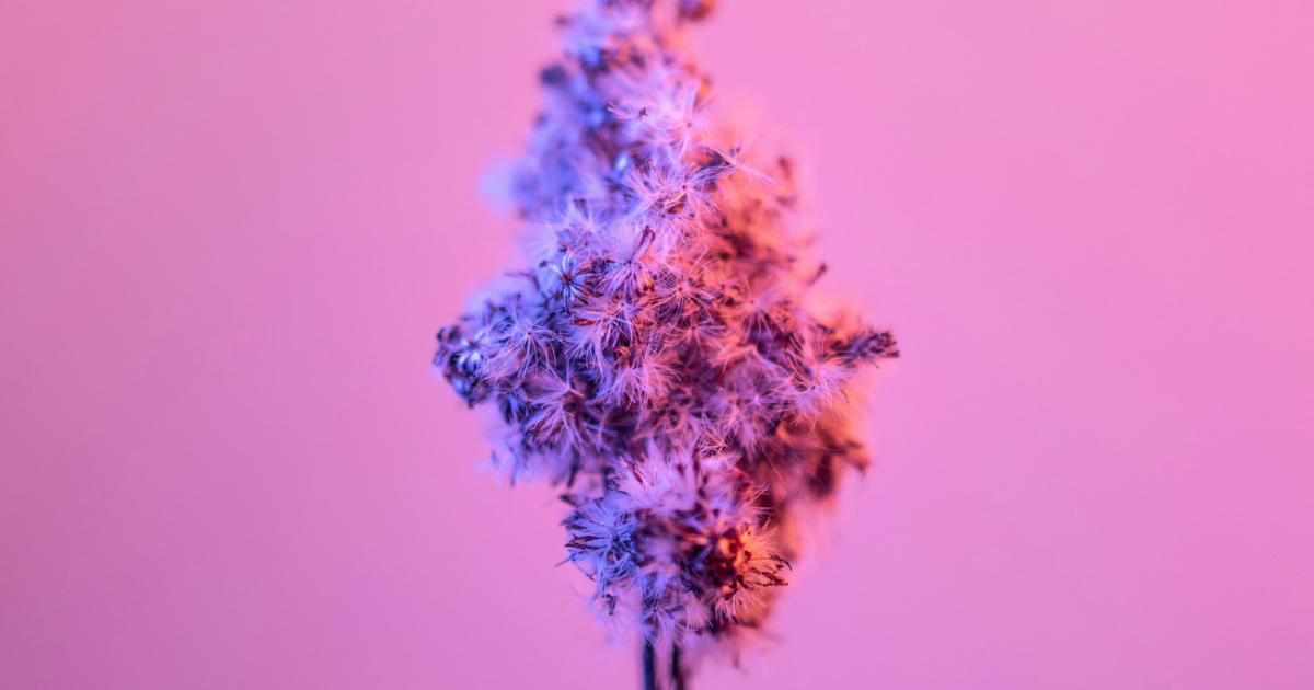 Sustainable materials innovation – Bioregional